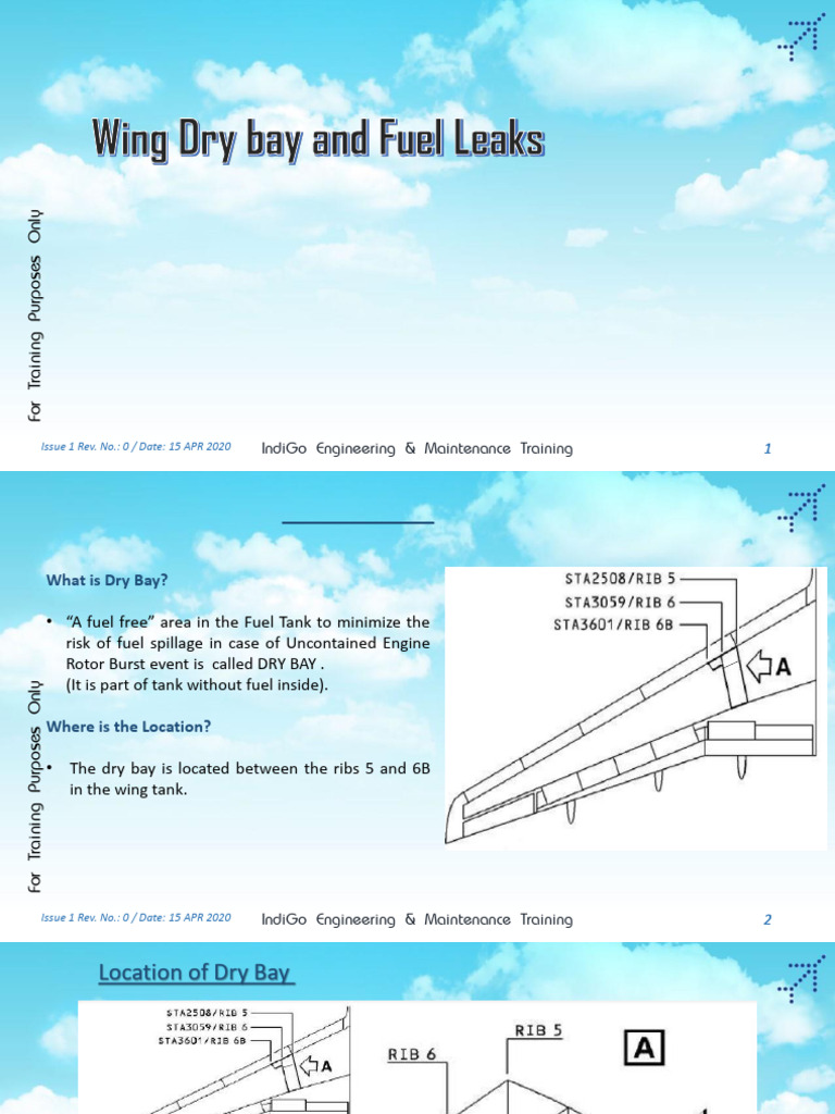 Wing Dry Bay Fuel Leak Management | PDF | Aircraft | Aviation