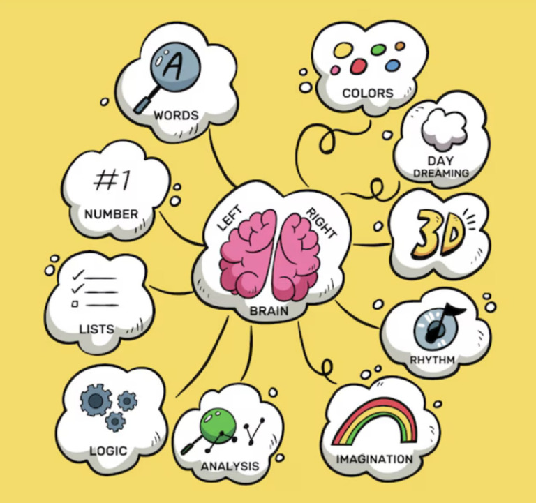 Brain Activity Infographic | PDF