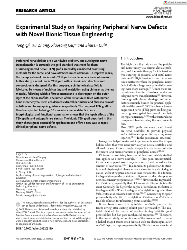 Nerve Tissue Engineering | PDF | Extracellular Matrix | Tissue Engineering
