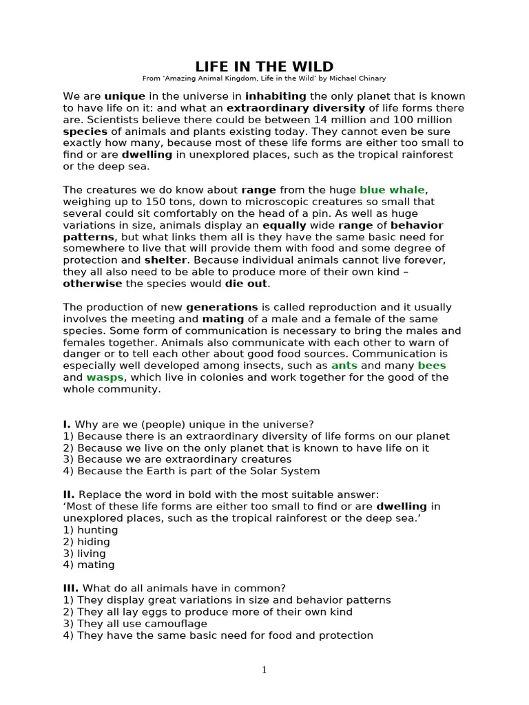 Animal Diversity & Communication | PDF | Bees | Wasp