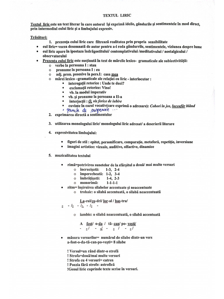 Textul Liric | PDF