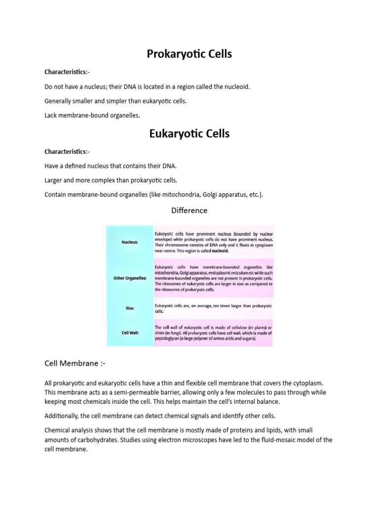 Prokaryotic vs Eukaryotic Cells Explained | PDF | Cell (Biology) | Cell ...