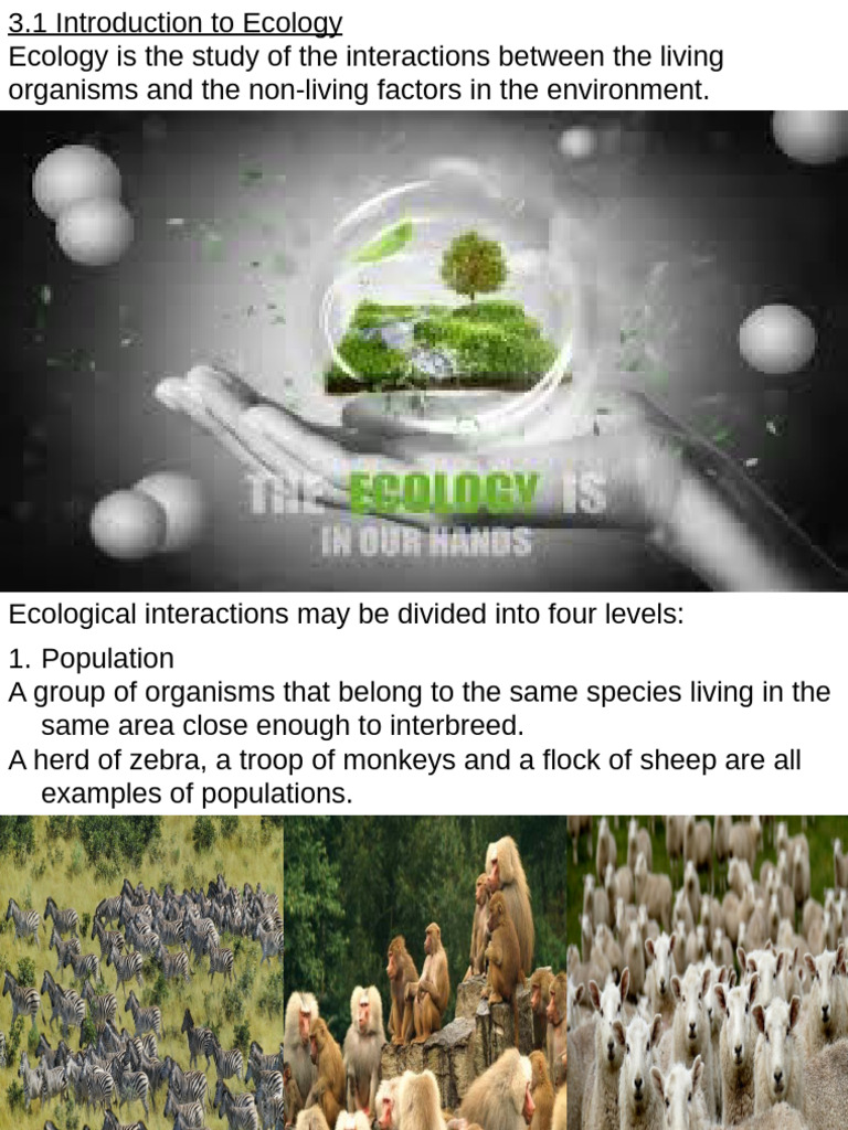 3.1 - Introduction To Ecology | PDF | Soil | Plants