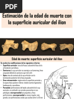 El Proceso de Stieda | PDF | Tobillo | Cirugía