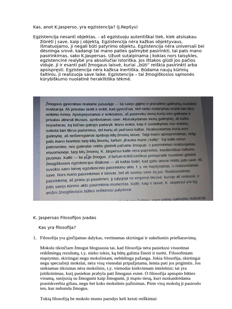 K.Jaspersas, Referatas, Namu Darbas | PDF