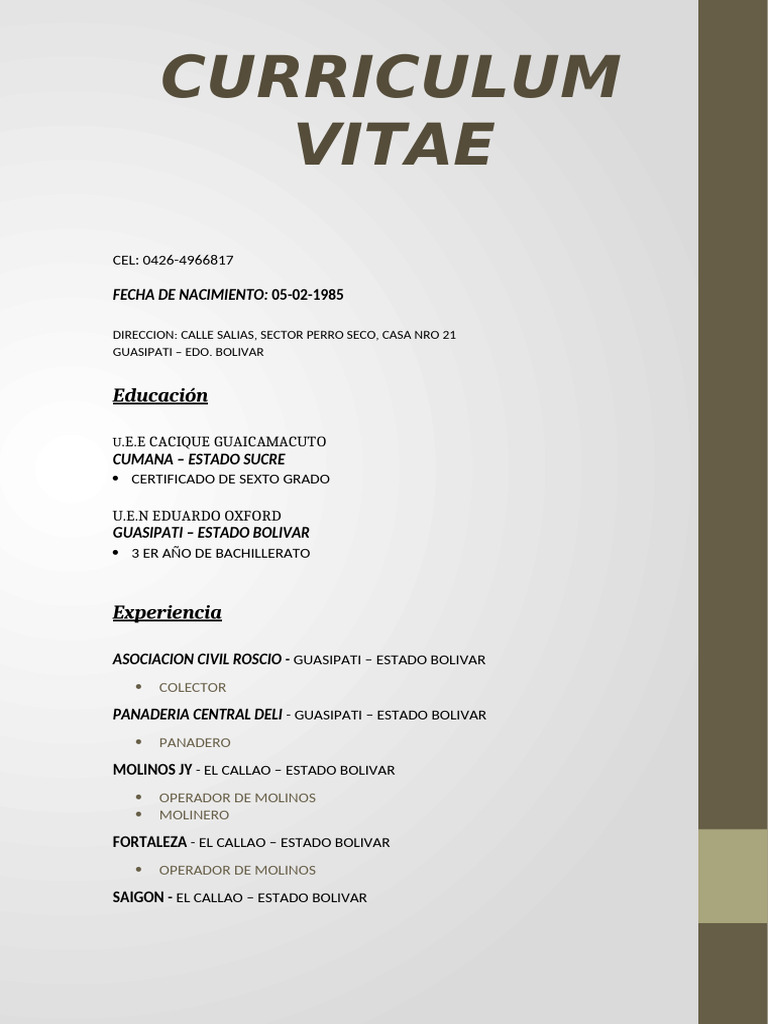 Curriculum Hector | PDF