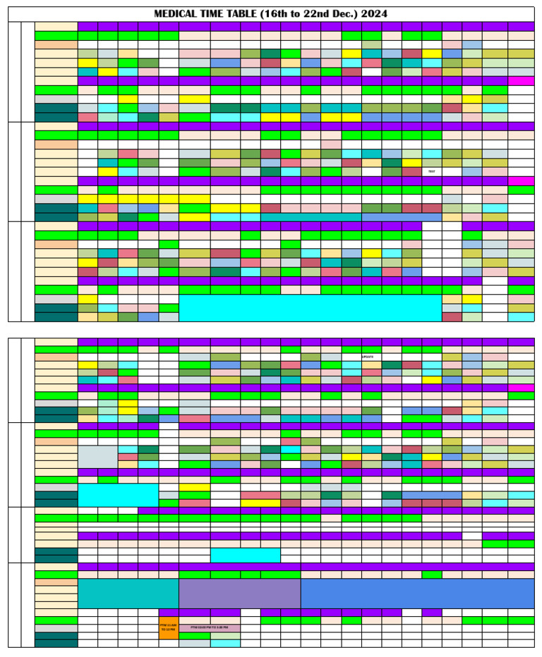 Medical Time Table (16th To 22nd Dec.) 2024 | PDF