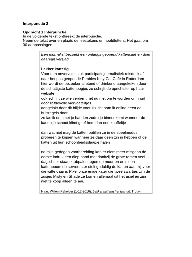 Interpunctie 2 | PDF