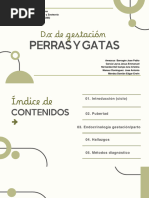 Atlas del Desarrollo Embrionario del Perro | PDF | Embrión | Procesos ...