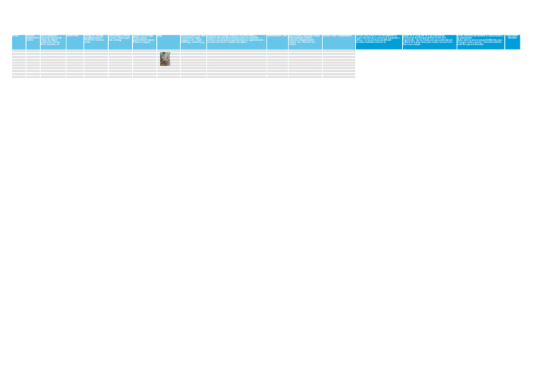 Formato Action Plan | PDF