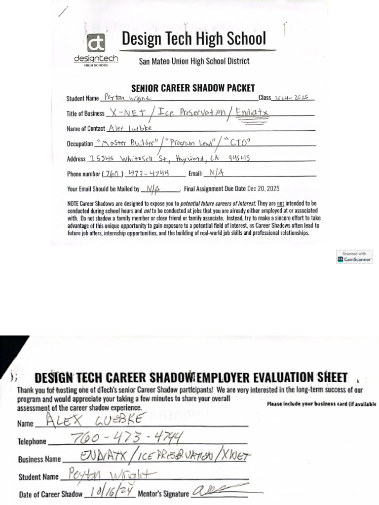 Job Shadow Review | PDF