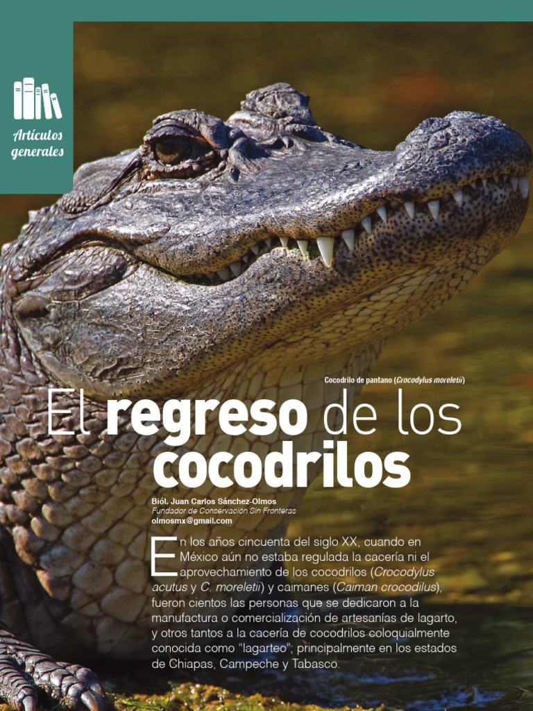 Cocodrilos UNAM JCOlmos | PDF | Cocodrilo | México
