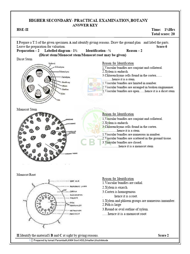 Hsslive Botany Practical Key-2023-24 | PDF | Plant Stem | Biology
