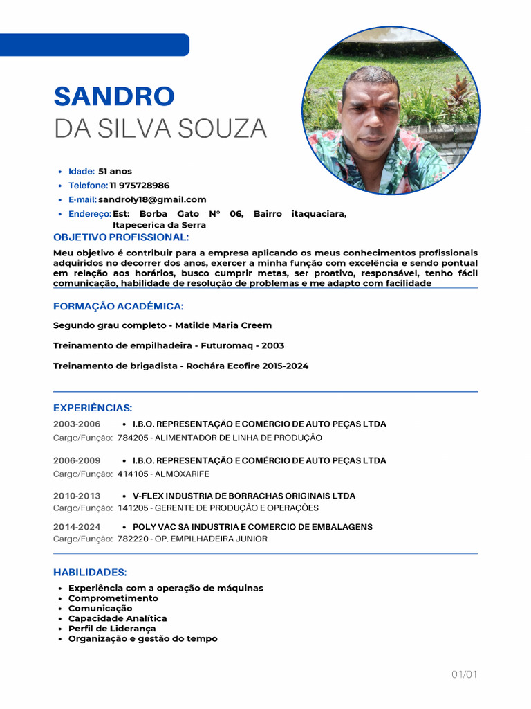 Currículo Simples Azul e Cinza - 20241209 - 184738 - 0000 | PDF