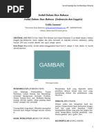 SNI 7061-2019 Pengukuran ISBB | PDF