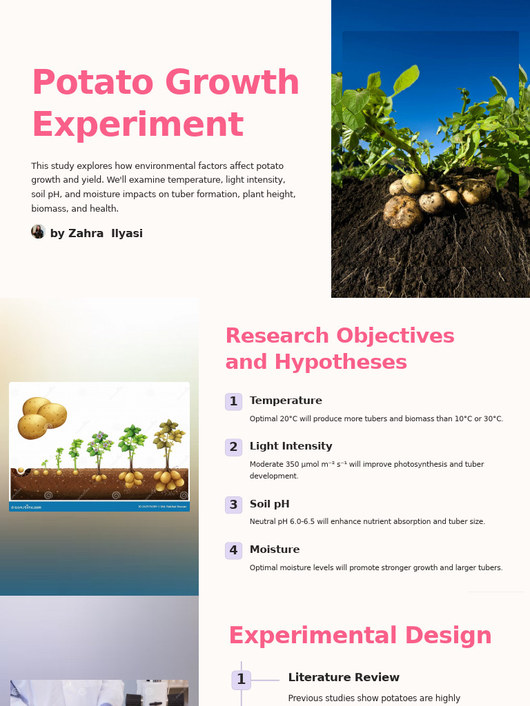 Potato Growth Experiment | PDF