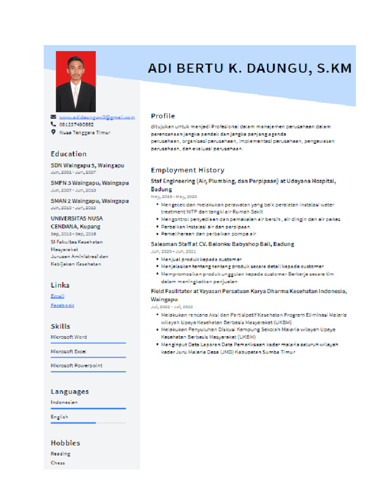 Curriculum Vitae Adi Bertu | PDF