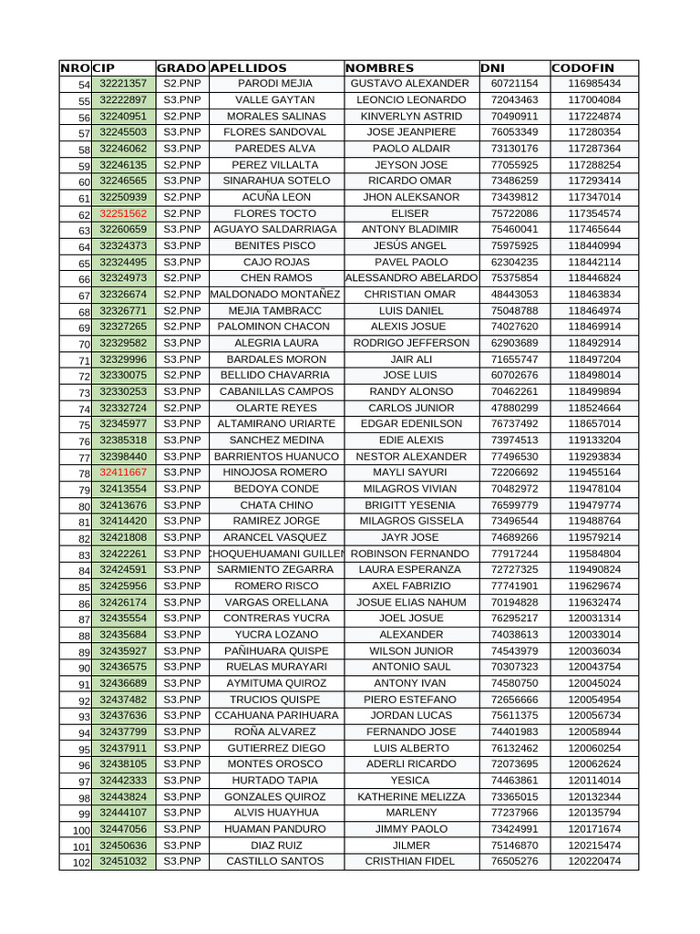PNP Personnel Roster | PDF