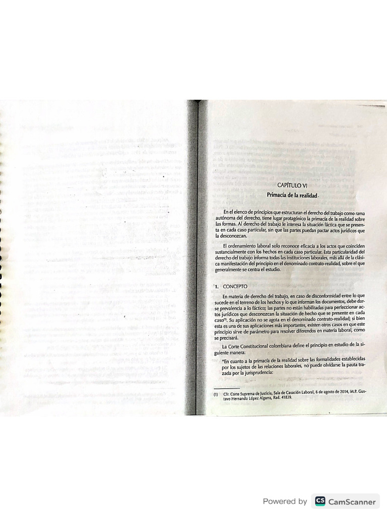 CAP6 Primacía de la realidad. | PDF