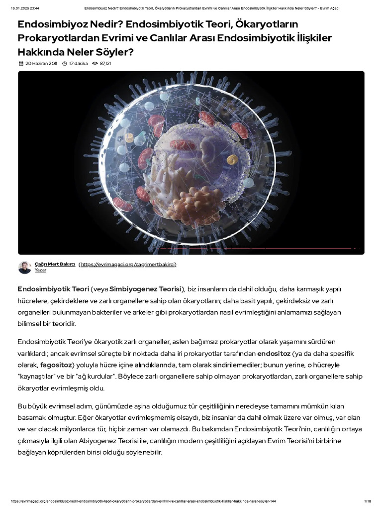 Endos MB Yoz Ned R? Endos MB Yot K Teor, Ökaryotların Prokaryotlardan Evr M Ve Canlılar Arası ...