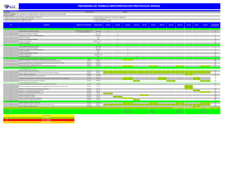 Programa Implementacion Protocolos MINSAL | PDF