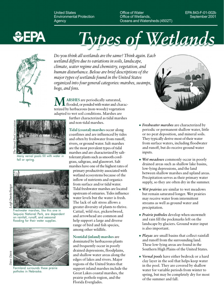 types_of_wetlands | PDF | Marsh | Swamp