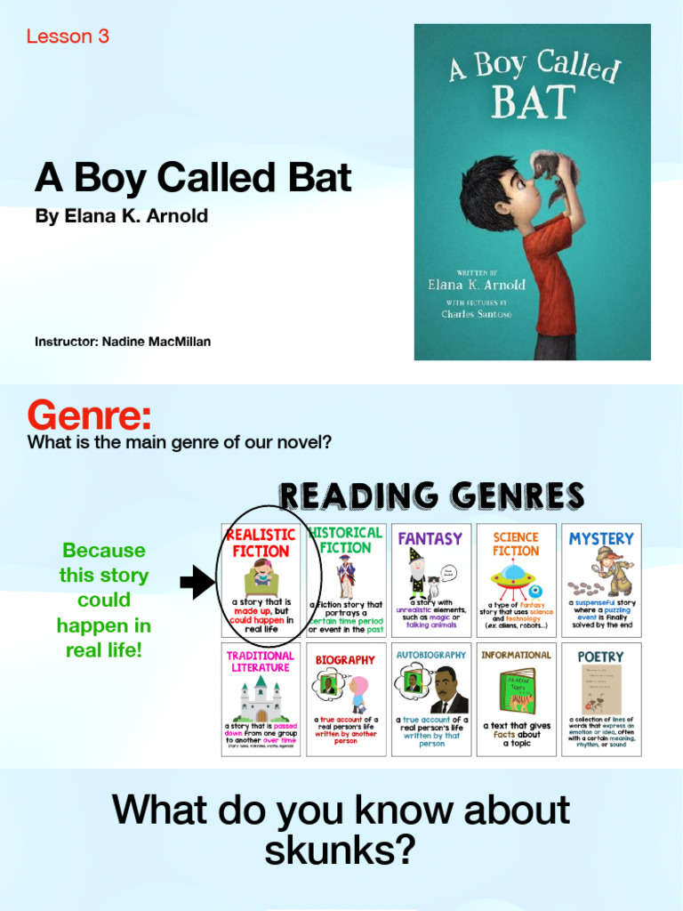 A Boy Called Bat Lesson 3 | PDF