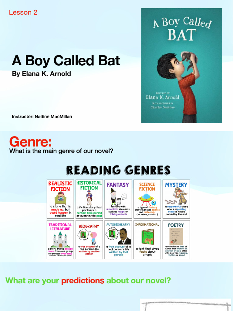 A Boy Called Bat Lesson 2 | PDF