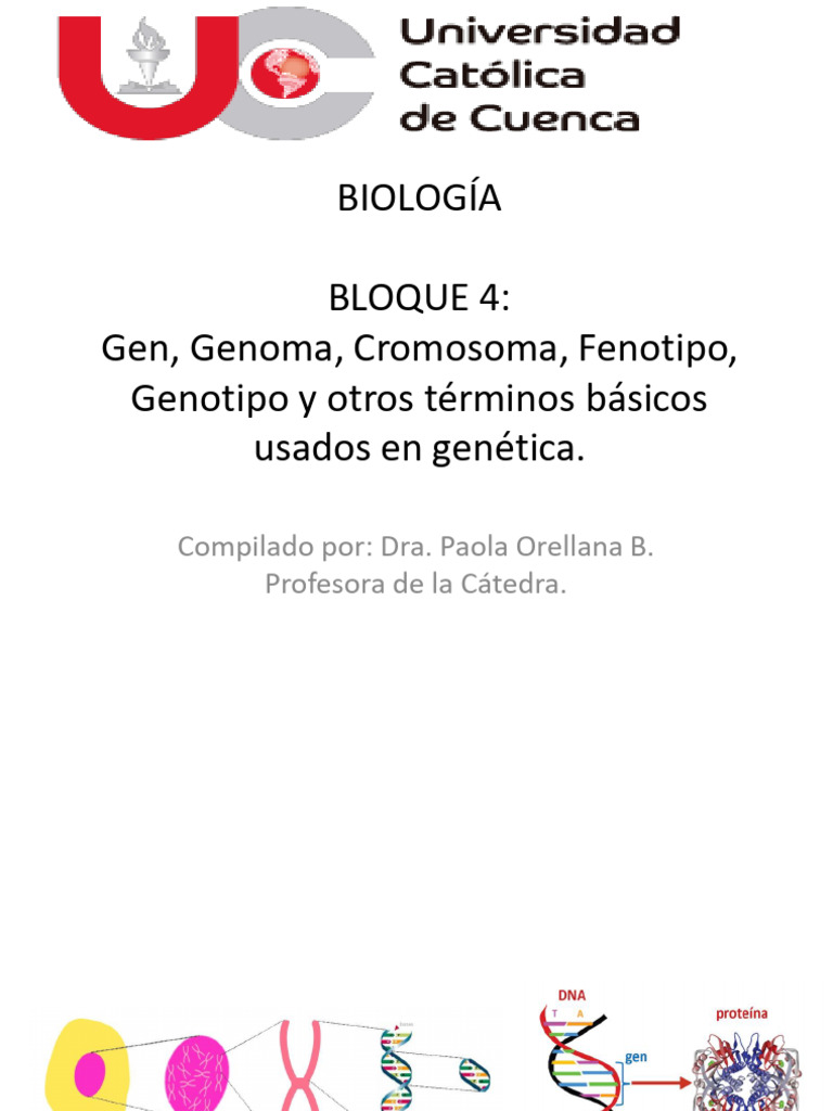 GENÉTICA Gen, Genoma, Cromosoma, Fenotipo, Genotipo, Términos Básicos Usados en Genética | PDF ...