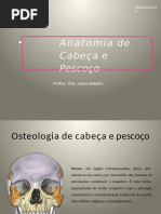 Anatomia dos Ossos da Cabeça | PDF | Crânio | Anatomia