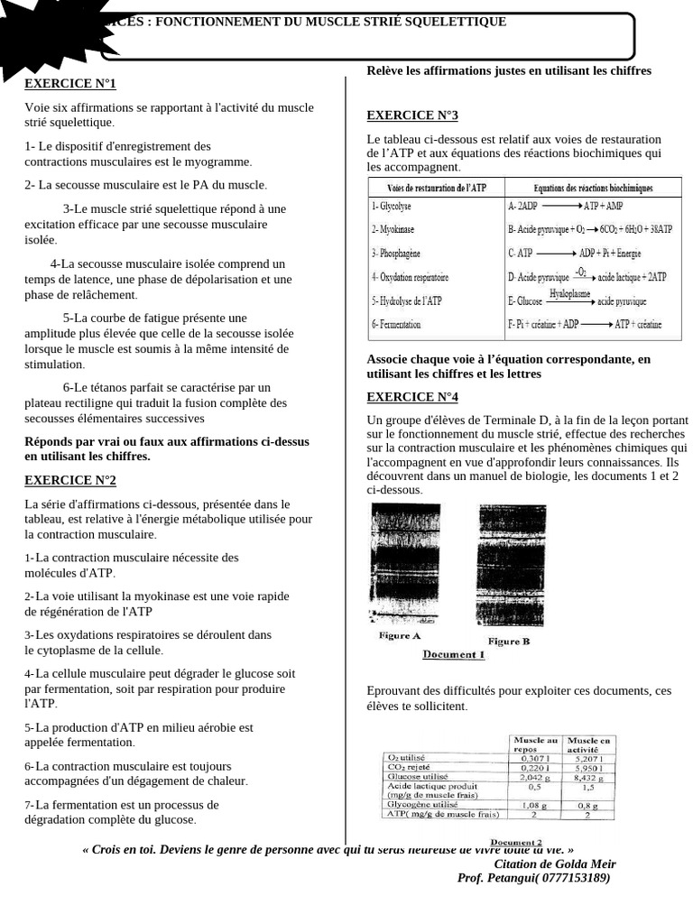FICHE D'EXERCICES MUSCLE STRIE SQUELETTIQUE | PDF | Muscle ...