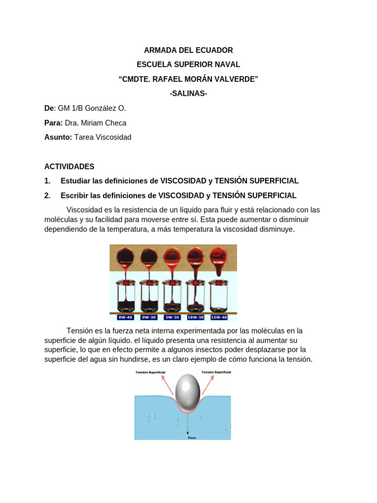 Viscosidad y Tensión GM González O. | PDF