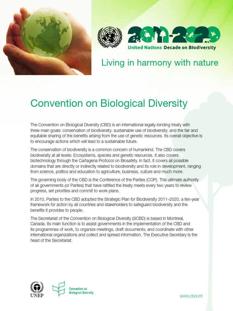 Undb Factsheet Cbd En | PDF | Natural Environment | Environmental ...