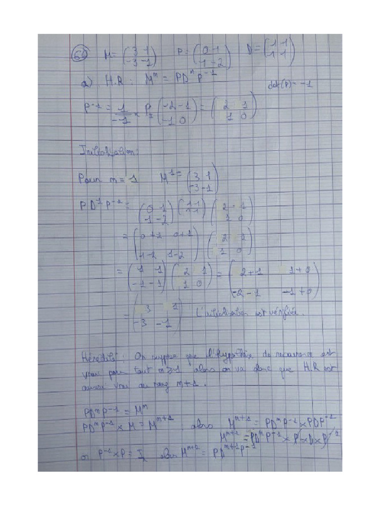 CTP JLD Matrices 66 | PDF