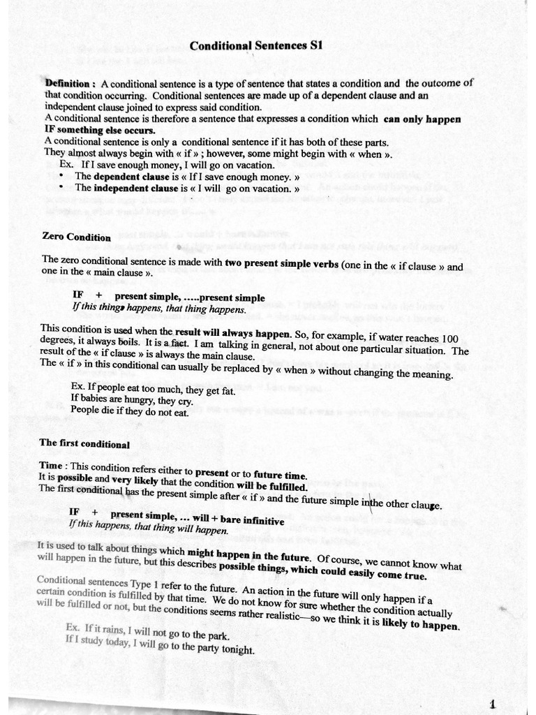 Conditional Sentences | PDF