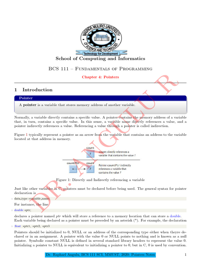Chapter 4 Pointers Pdf Pointer Computer Programming Integer