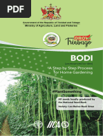 Pechay Growth and Production Guide | PDF | Sowing | Seedling