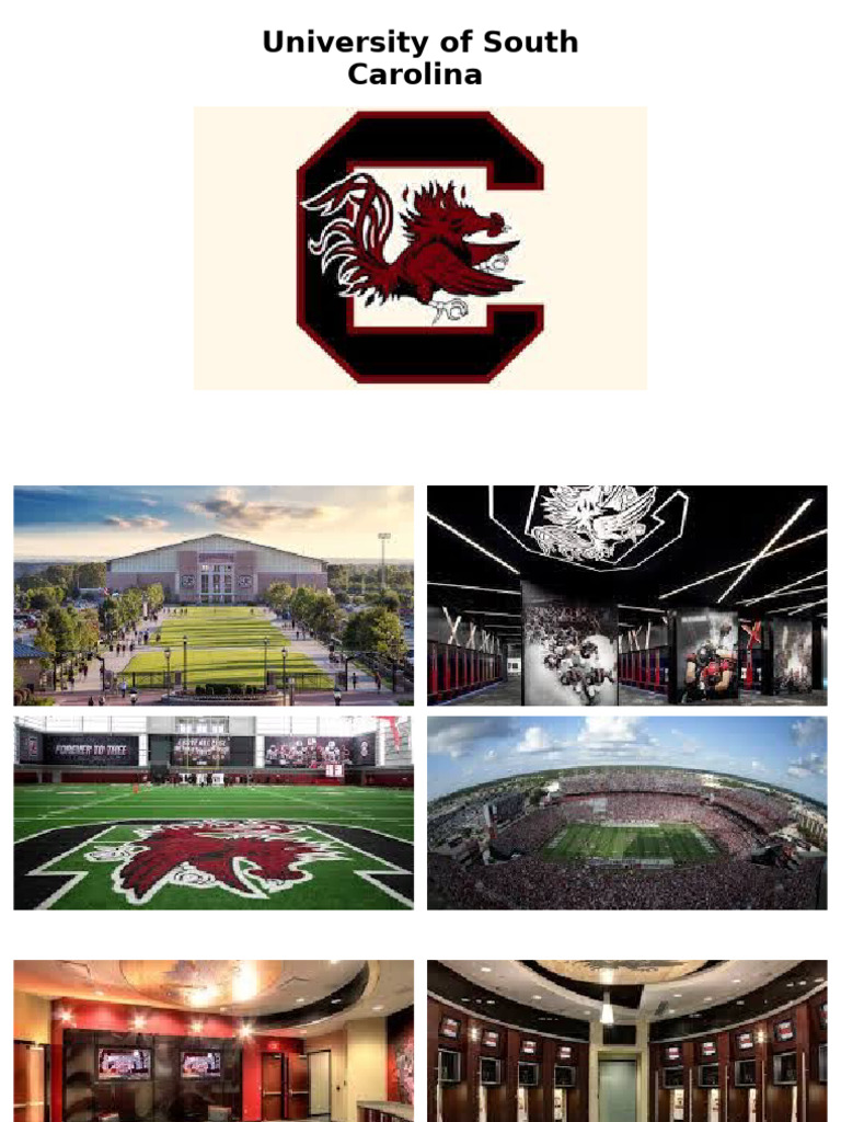 University of South Carolina | PDF