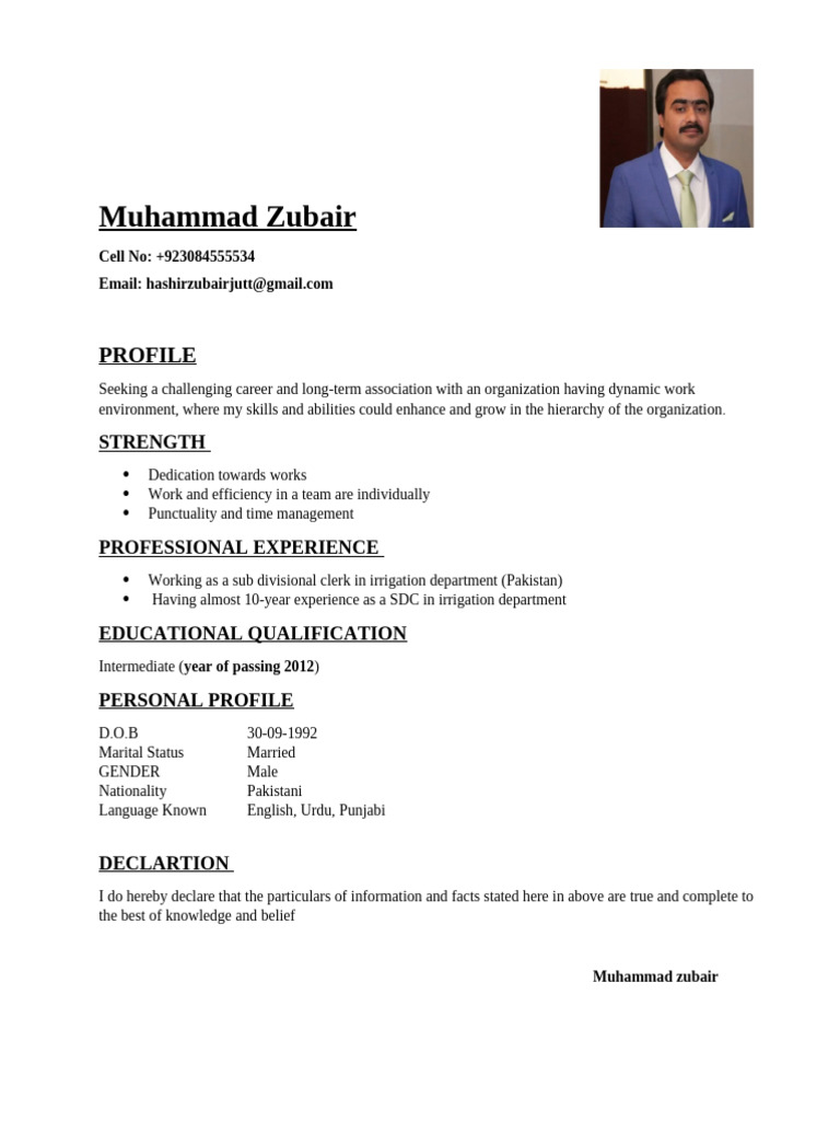 Zubair Cv2 | PDF