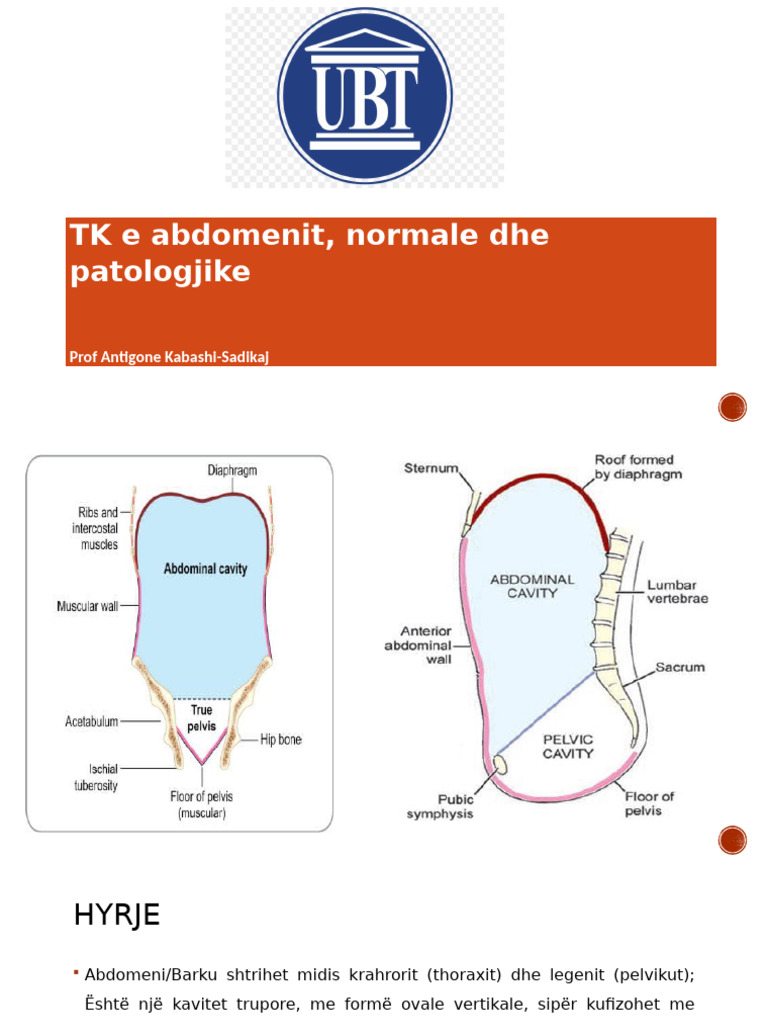 Ligj 09.12.2024 UBT TK Abdomenit | PDF