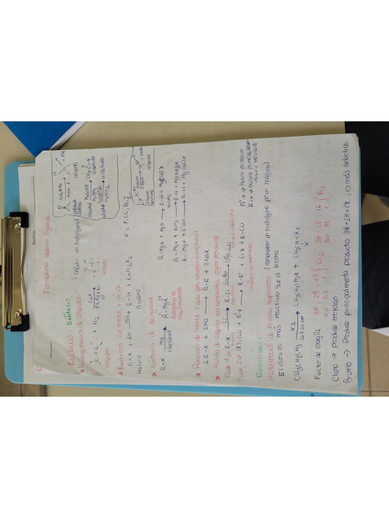 Formulario Orga | PDF