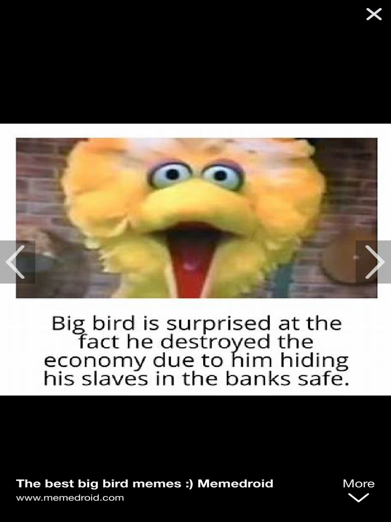 Big Bird Is Sad We Re All Sad Pdf