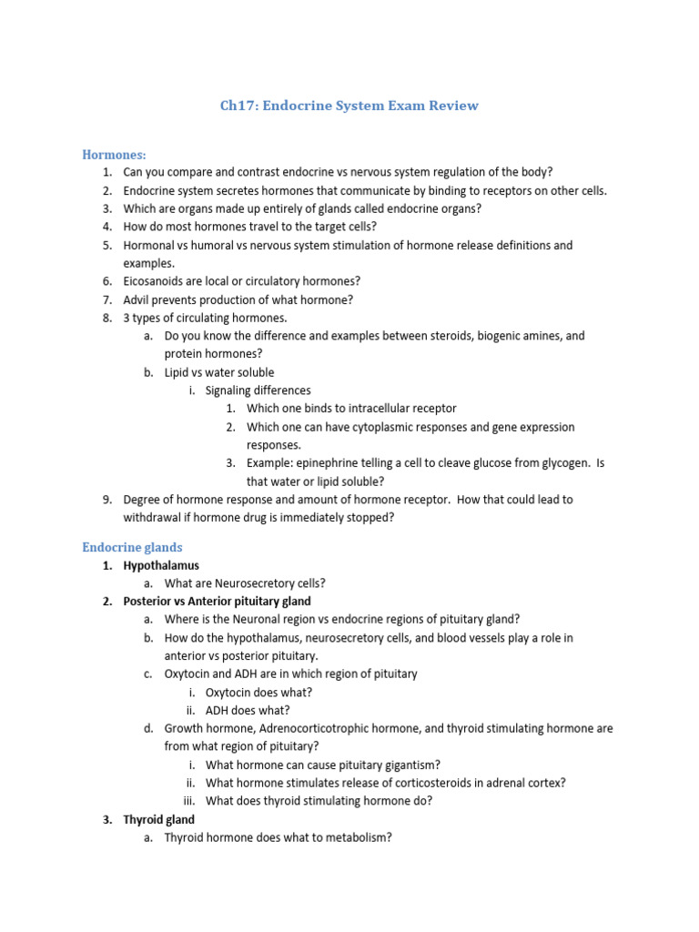 Endocrine System Exam Review Guide | PDF | Endocrine System | Hormone