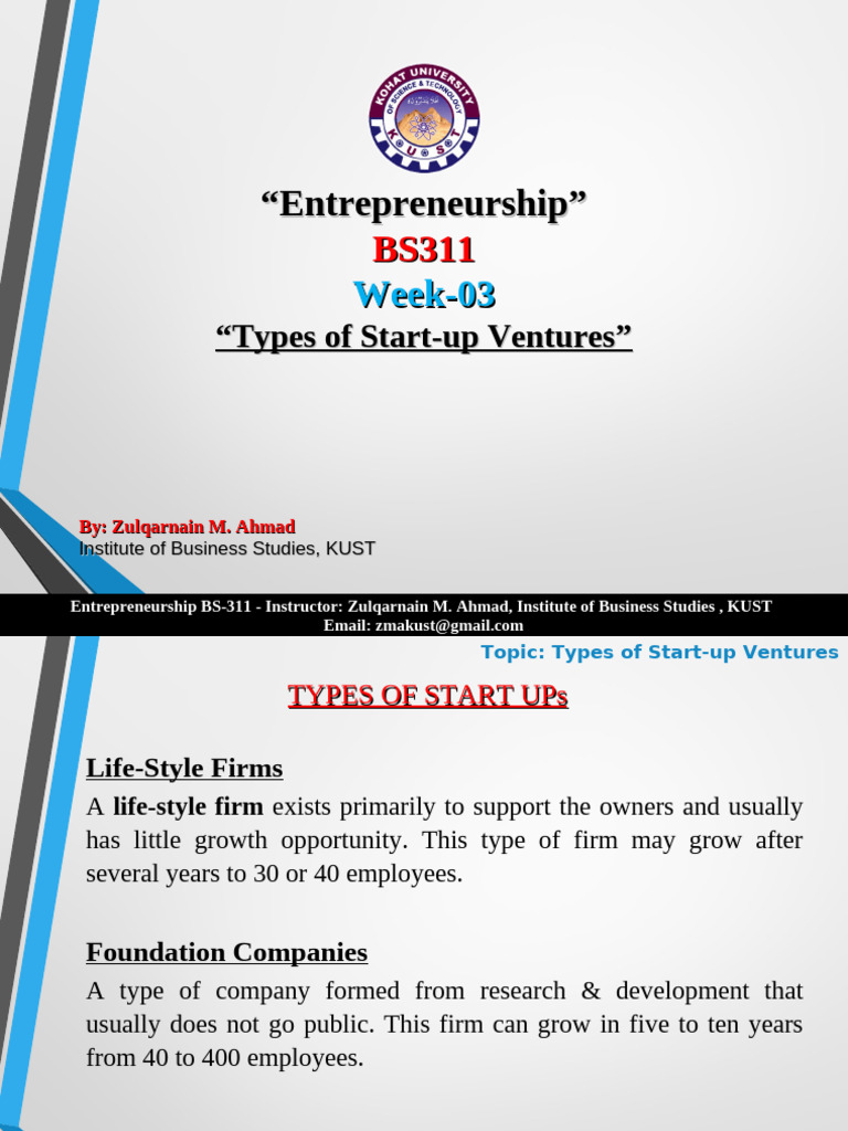 (3) Types of Start-up Ventures | PDF | Entrepreneurship | Bovidae