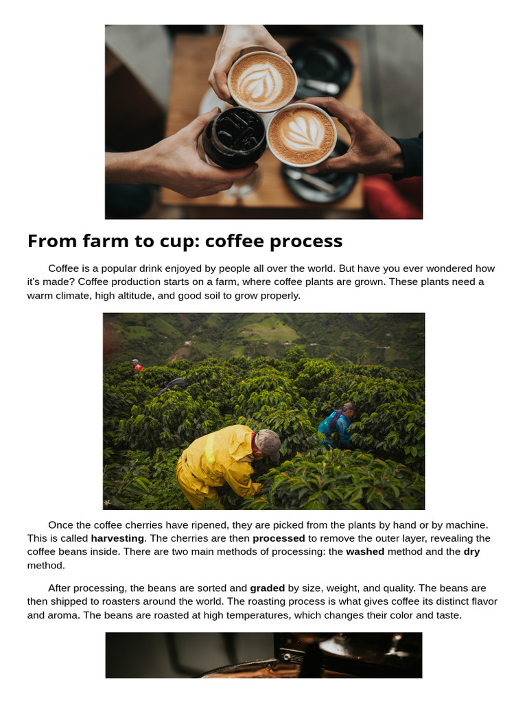 Coffee Journey: Farm to Cup | PDF