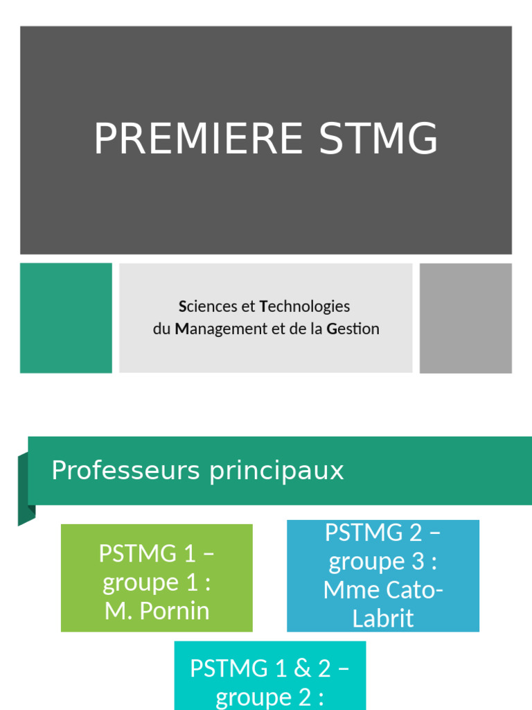 Bac STMG 2025 : Présentation et Épreuves | PDF