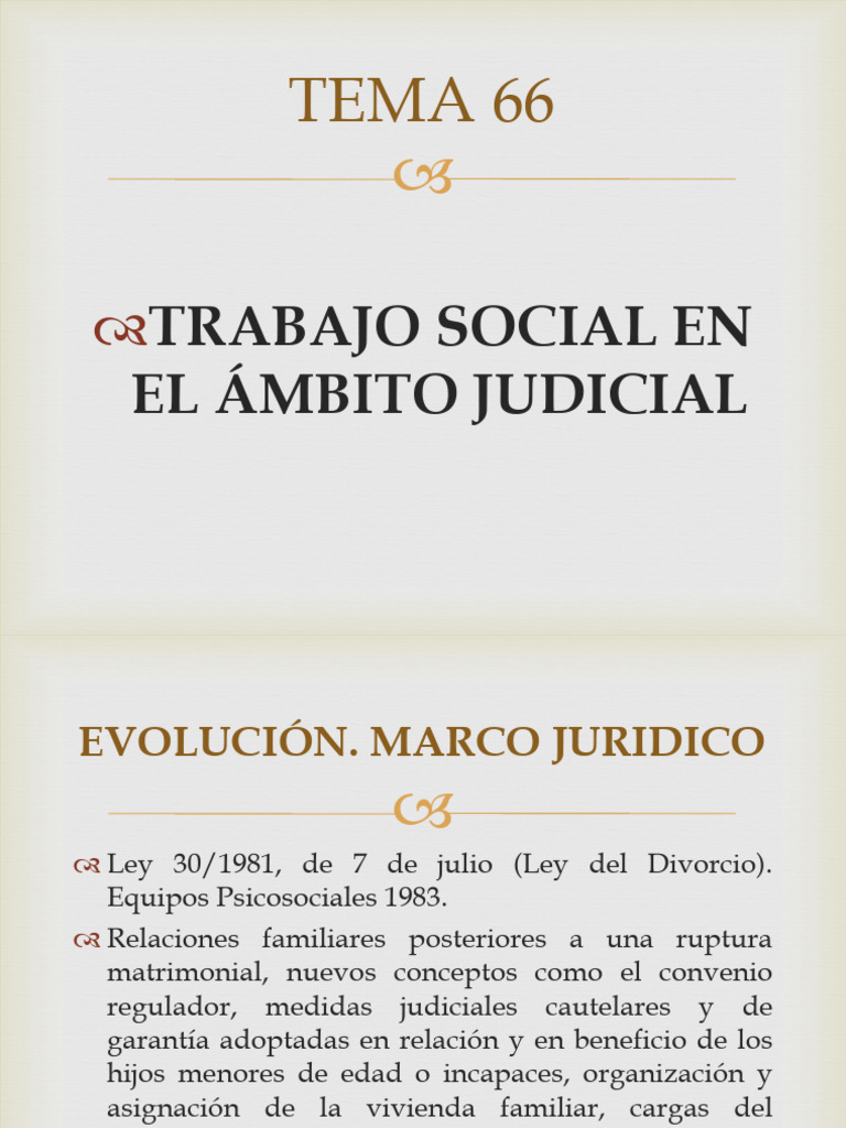 Presentacion Tema 66 CM (4!6!24) | PDF | Prisión | Trabajo Social