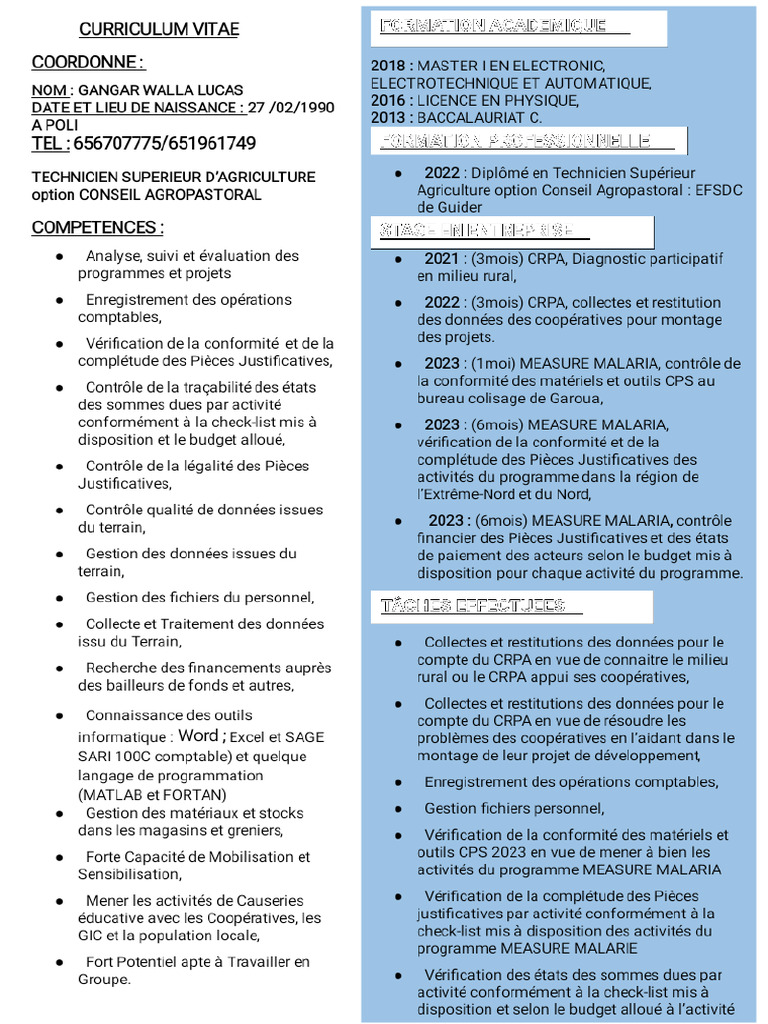 1 CV Lucas | PDF