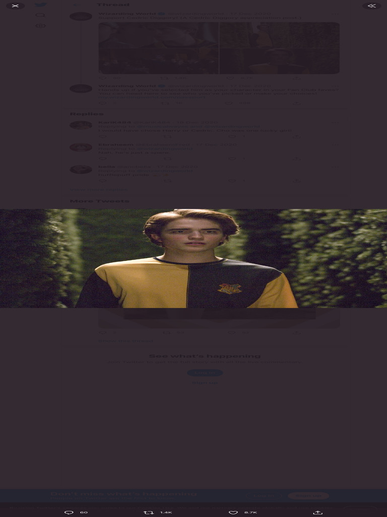 Wizarding World On Twitter Support Cedric Diggory! (A Cedric Diggory ...