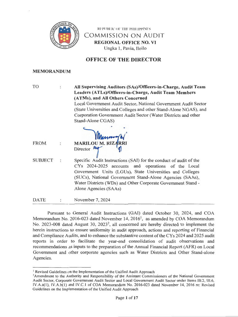 Audit Instructions for 2024-2025 Accounts | PDF | Audit | Auditor's Report